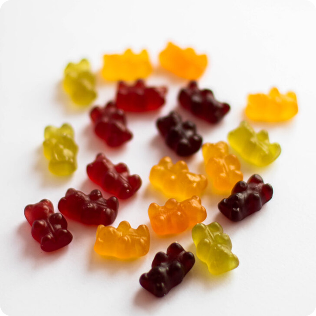 BIO preces – Ieber.lv